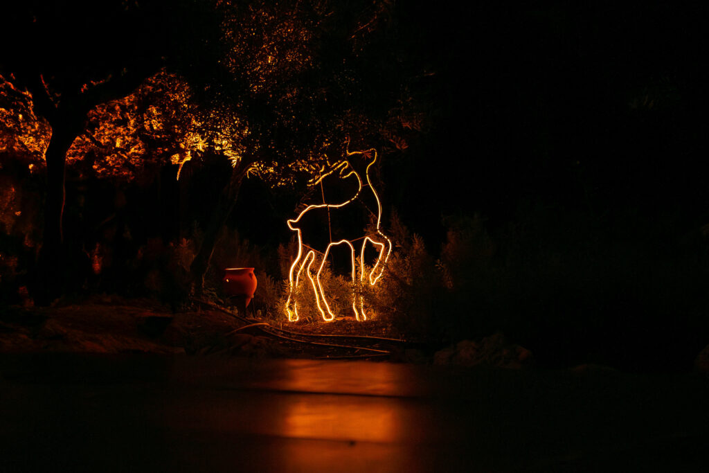 🏜️ Phoenix: Desert Lights & Holiday Nights - Access Spaces